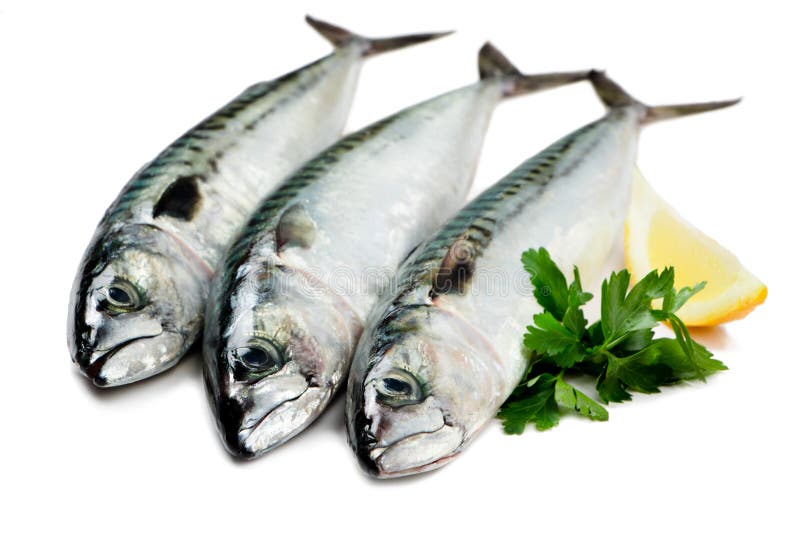 Fresh Mackerel Fish with Ingredients To Cook Stock Image - Image of ...