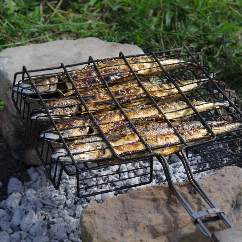 The Mackerel Fish Lies on the Grill and is Cooked Over an Open Fire ...