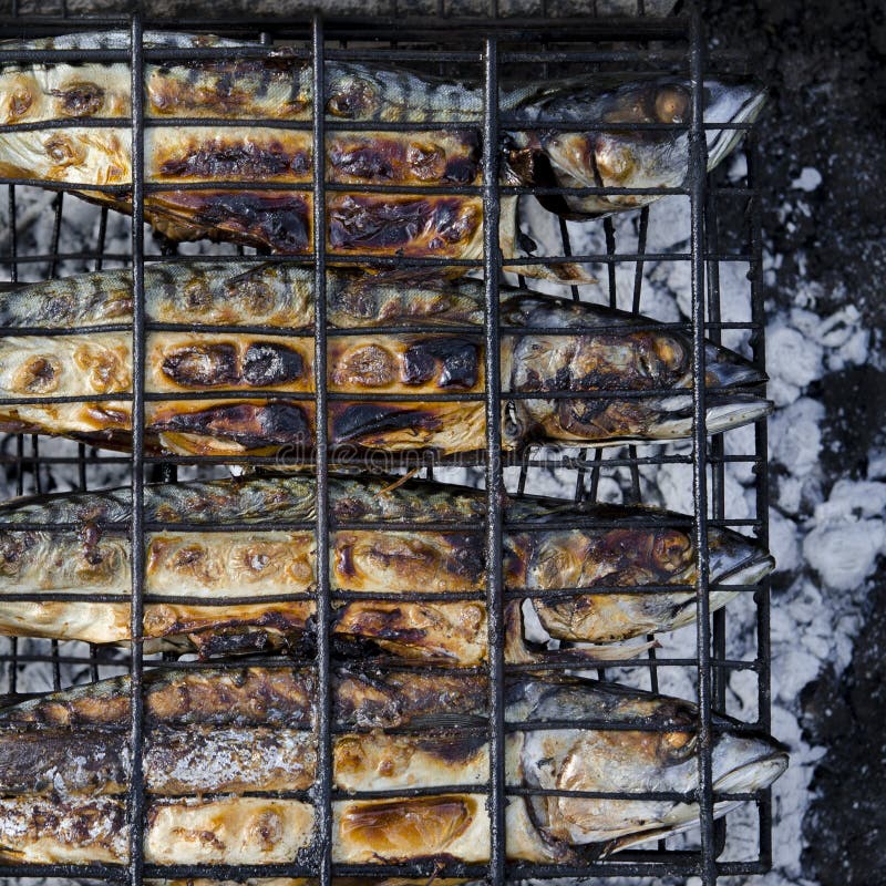 The Mackerel Fish Lies on the Grill and is Cooked Over an Open Fire ...