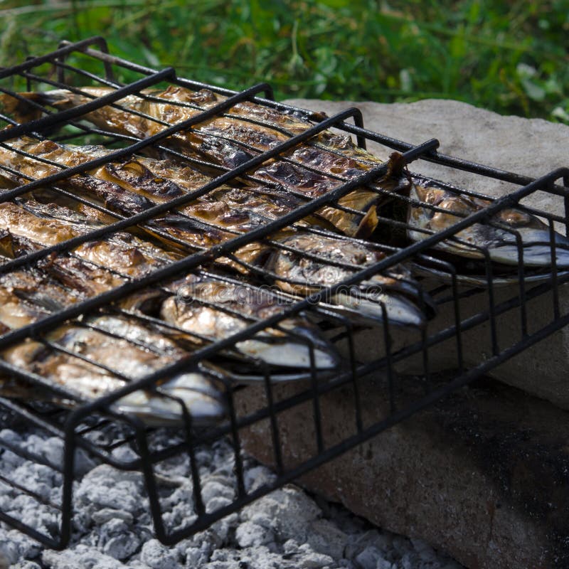 The Mackerel Fish Lies on the Grill and is Cooked Over an Open Fire ...