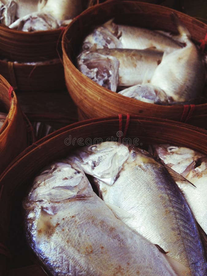 Mackerel Fish in Local Market Stock Image - Image of basket, animal ...