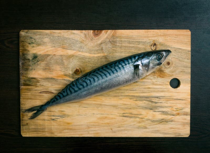 Fish on the table stock photo. Image of ocean, chef - 106777664