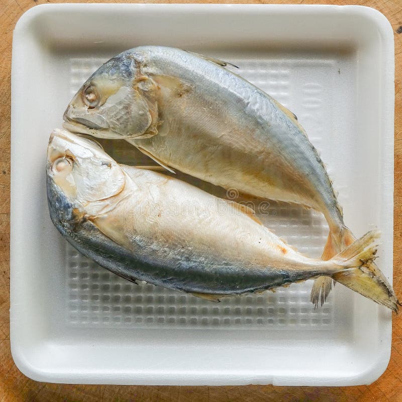 Mackerel fish stock photo. Image of view, delicious, life - 76546712