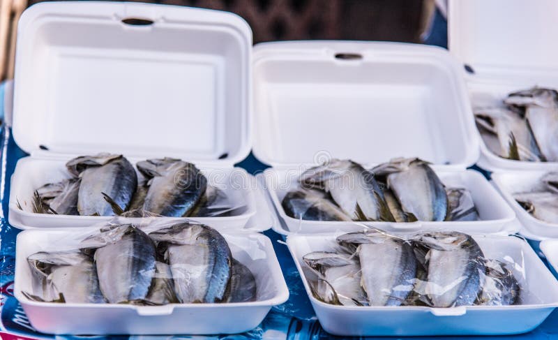 Mackerel Fish Foam Box Stock Photos - Free & Royalty-Free Stock Photos ...