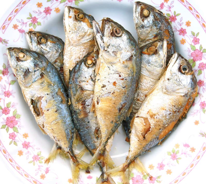 Mackerel fried stock image. Image of ocean, dinner, grilled - 34807081