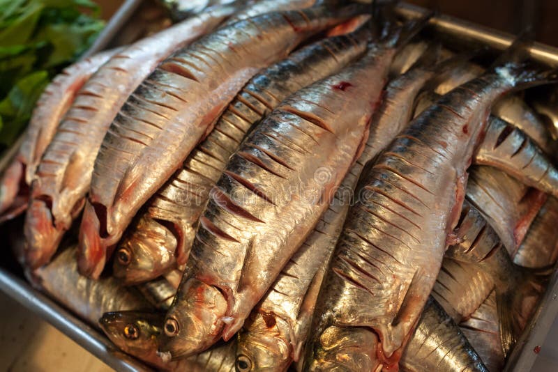 Mackerel stock photo. Image of fresh, animal, kitchen - 52294550