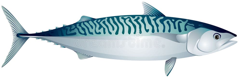 Fish Tomato Stock Illustrations – 10,385 Fish Tomato Stock ...