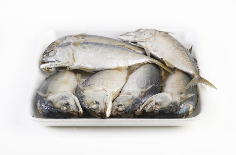 Mackerel in package stock image. Image of food, protein - 45725005