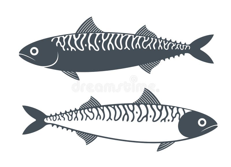 King Mackerel Stock Illustrations – 53 King Mackerel Stock ...