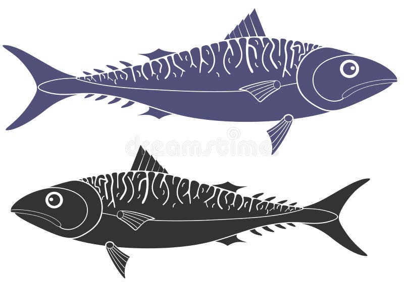 King Mackerel Stock Illustrations – 53 King Mackerel Stock ...