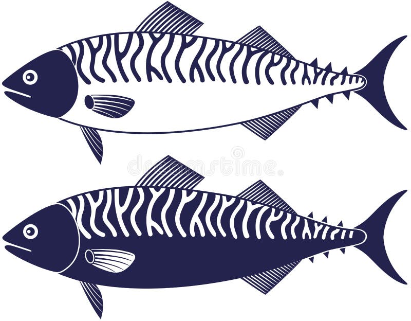 King Mackerel Stock Illustrations – 53 King Mackerel Stock ...
