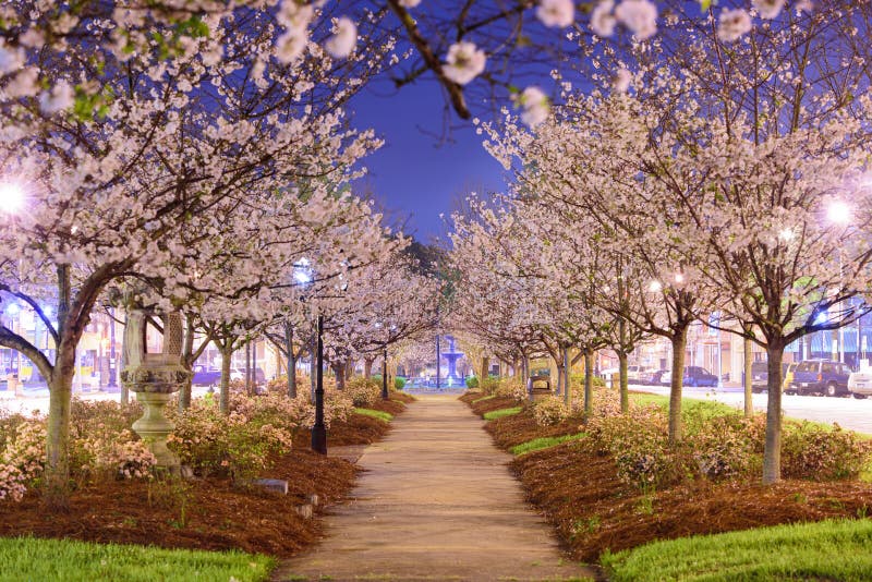 Macon, Georgia, USA in the Spring Stock Image - Image of march, garden ...