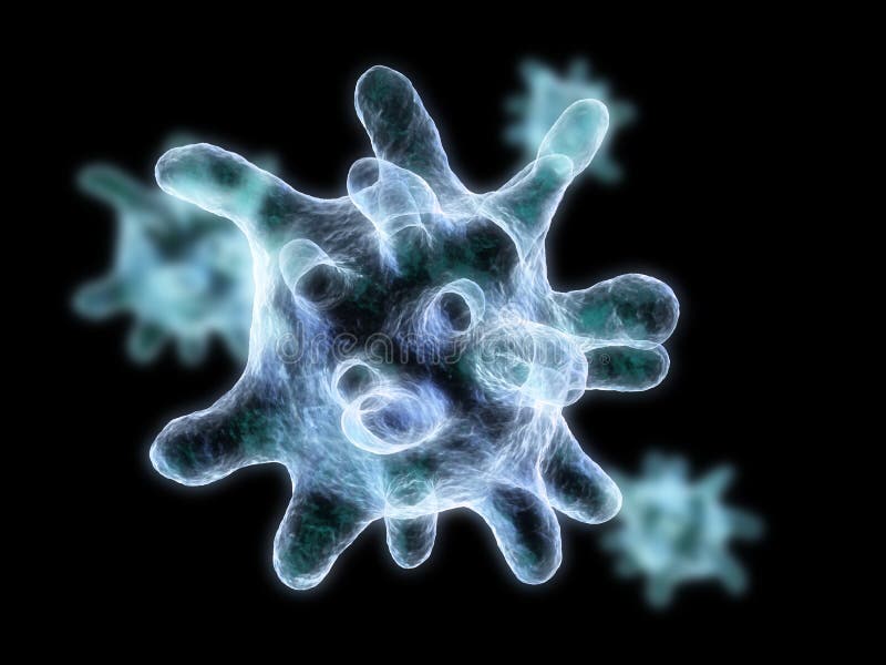 Macrófago ilustração stock. Ilustração de sangue, meiose - 11994725