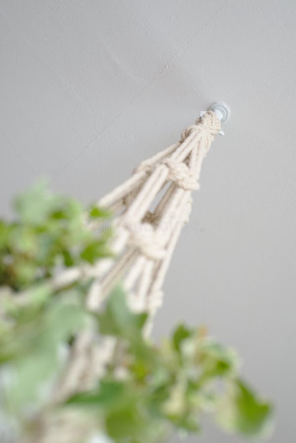 Macrame Plant from Ceiling Hook Stock Photo - Image of boho, hanging ...