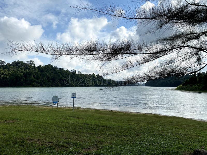 MacRitchie Reservoir, a Natural Lake in Singapore Stock Photo - Image ...