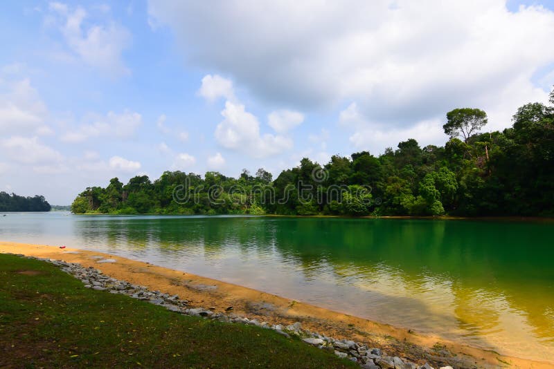 MacRitchie Reservoir Park stock image. Image of tree - 92967761