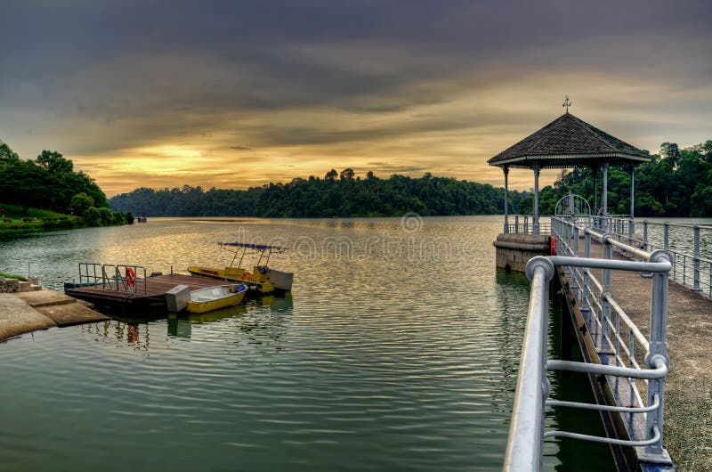 MacRitchie Reservoir Singapore Stock Photo - Image of tropical, macritchie: 26866690