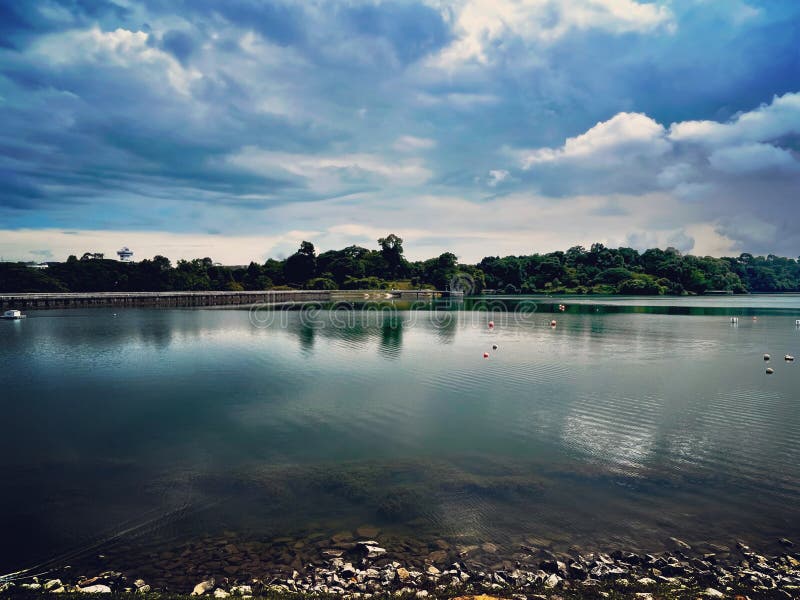 MacRitchie Reservoir in Singapore Stock Photo - Image of body, treated ...