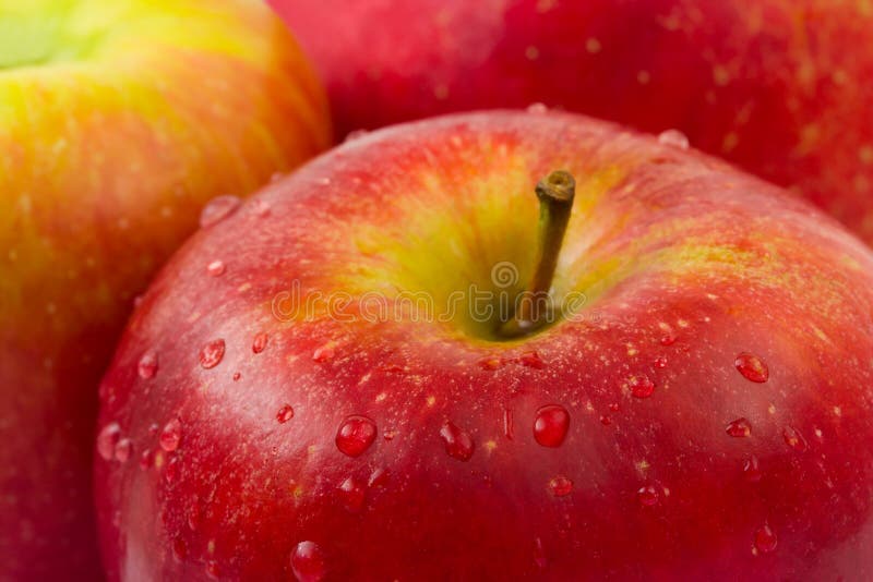 Macro apple stock image. Image of group, close, macro - 9770491