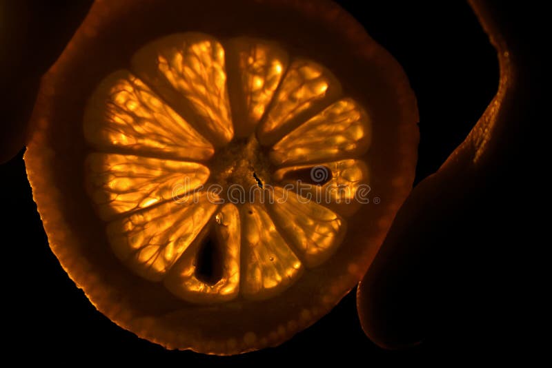 Macro of a Back-lit Slice of Lemon Isolated on White Stock Photo ...