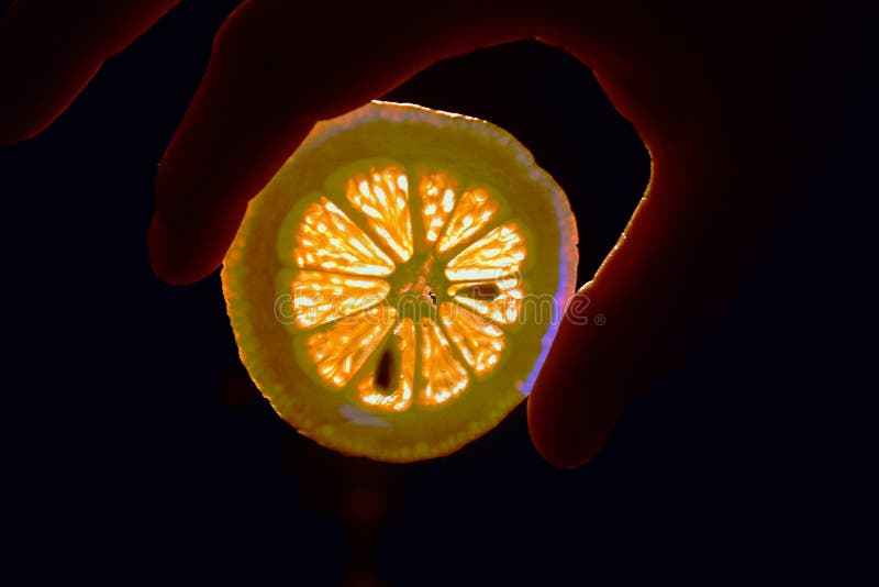 Macro of a Back-lit Slice of Lemon Isolated on White Stock Photo ...