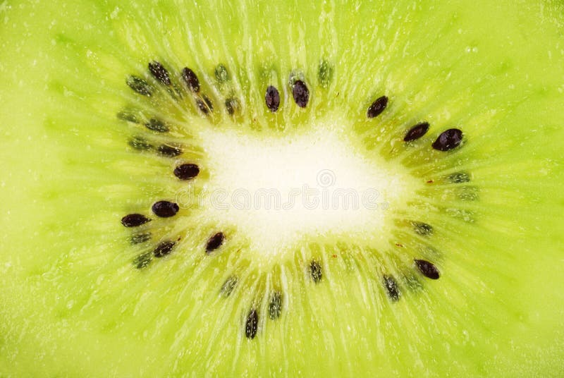 Macro Background from Kiwi Slice Stock Image - Image of round, surface ...