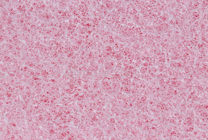 Macro Background Pink Scotch Brite Stock Photos - Free & Royalty-Free ...
