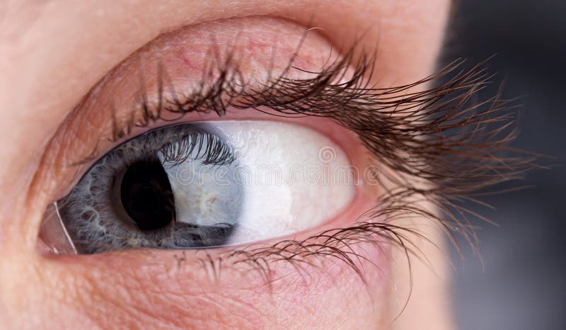 261 Eye Glint Stock Photos - Free & Royalty-Free Stock Photos from ...