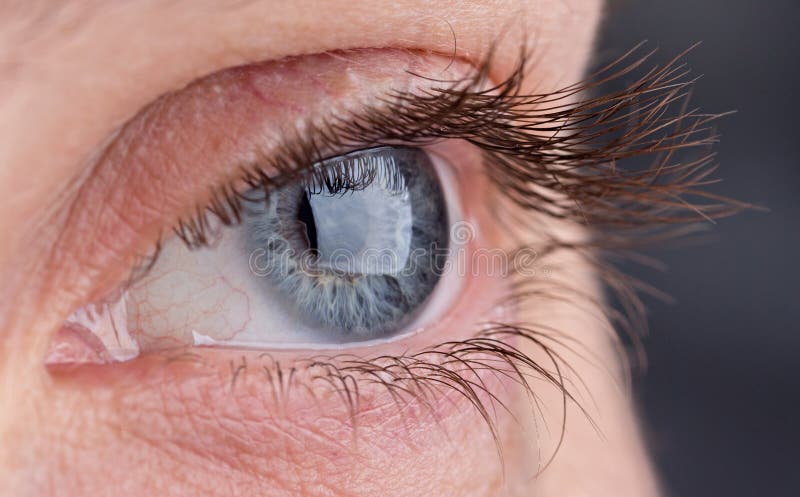 Macro of Beautiful Grey Eye Stock Image - Image of beautiful ...