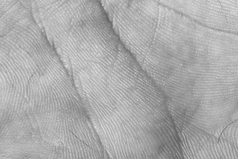Palm texture - details stock image. Image of woman, skin - 211605647