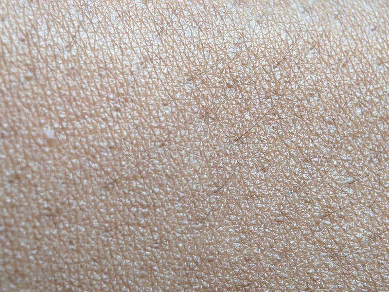 Macro of Brown Hand Skin Texture Stock Photo - Image of tile, pattern ...