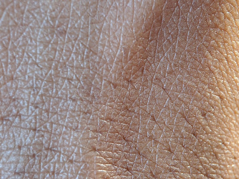Macro of Brown Hand Skin Texture Stock Photo - Image of brown, soil ...