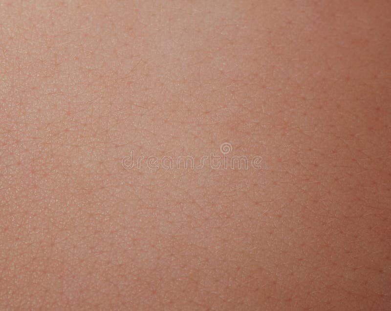 Macro of Texture Human Skin Stock Image - Image of skin, abstract: 78665253