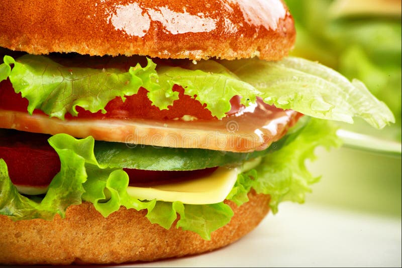 Macro burger stock image. Image of fast, juicy, light - 4500959