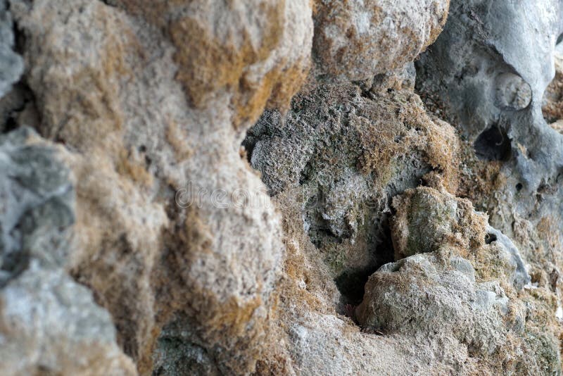 Cave wall closeup stock photo. Image of earth, jurassic - 112806292