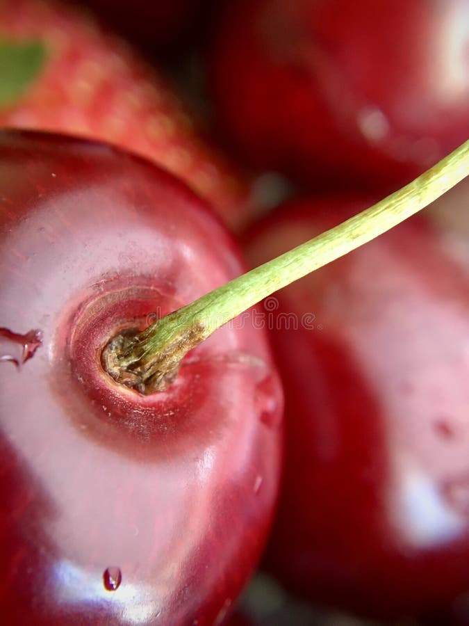 Macro cherry stock photo. Image of summer, macro, berry - 189903840