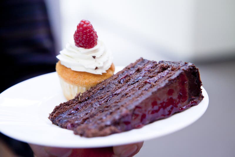 Macro of chocolate cake stock photo. Image of cream, delicious - 26652886