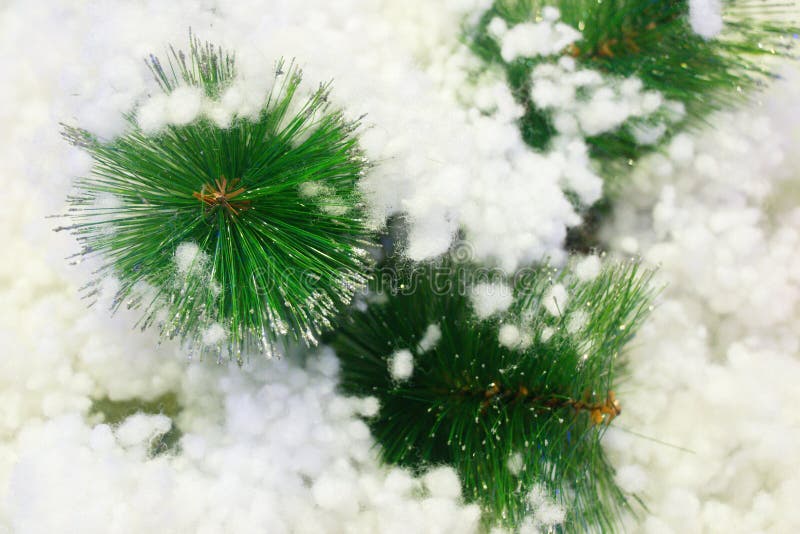 Macro Christmas Tree with Snow Background Stock Photo - Image of ...