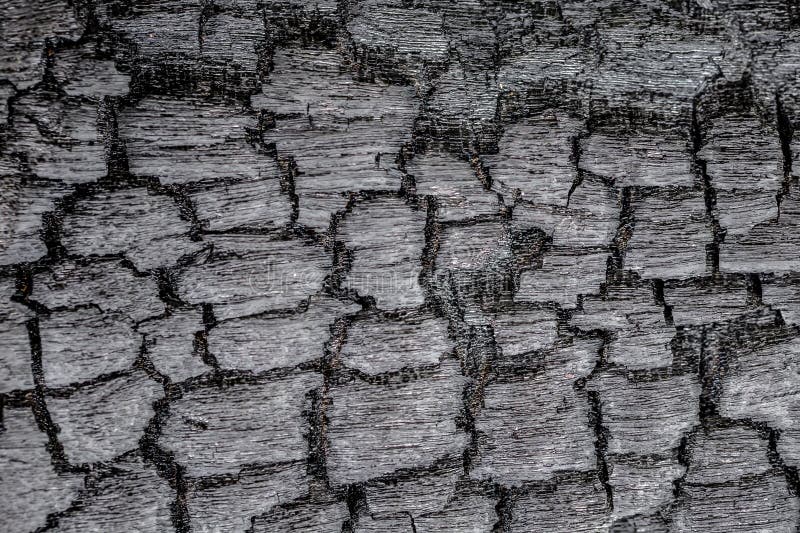Macro of Cigarette Ash in the Ashtray Stock Photo - Image of floor ...