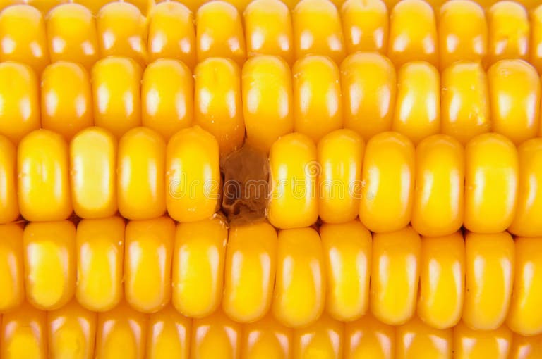 Macro Close Up of Corn Texture Missing Single Kernel Stock Photo ...