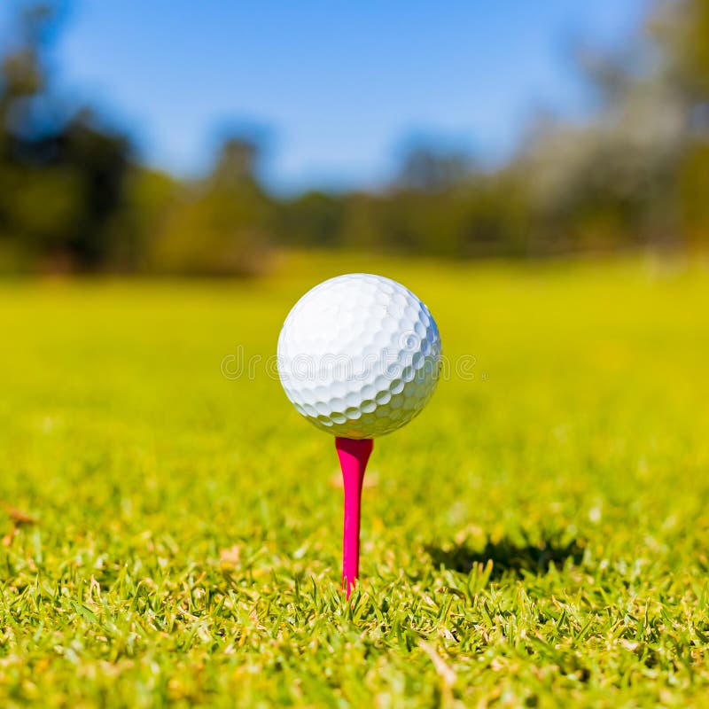 Golf Ball on a Tee at a Golf Course Stock Photo - Image of panoramic ...