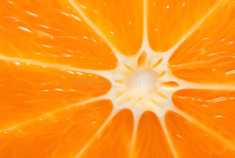 Macro Close-Up of Orange Fruit Texture Stock Illustration ...