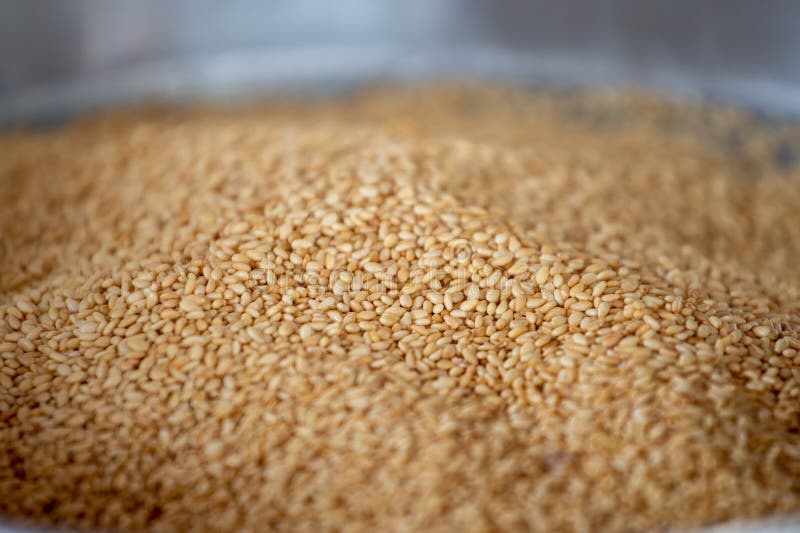 Macro Close-up of Organic White Sesame Seeds Stock Image - Image of ...