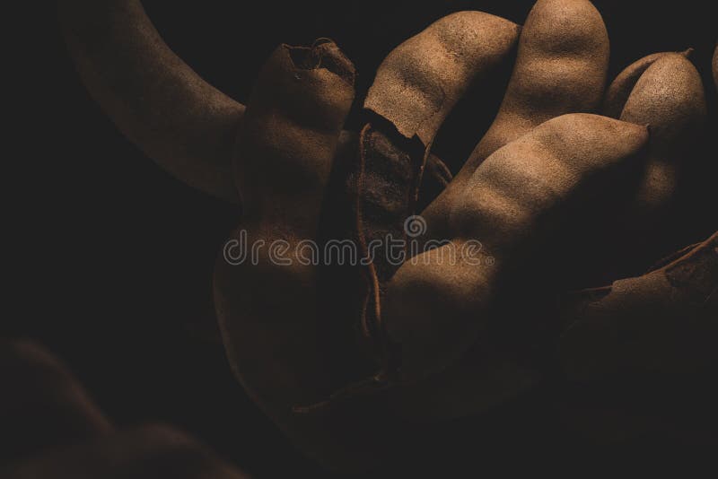 Macro Close Up Portrait of Mexican Tamarind Fruit Stock Photo - Image ...