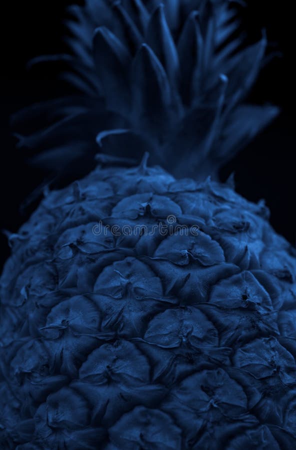 Macro Close Up Portrait of a Pineapple, Black Background Stock Photo ...