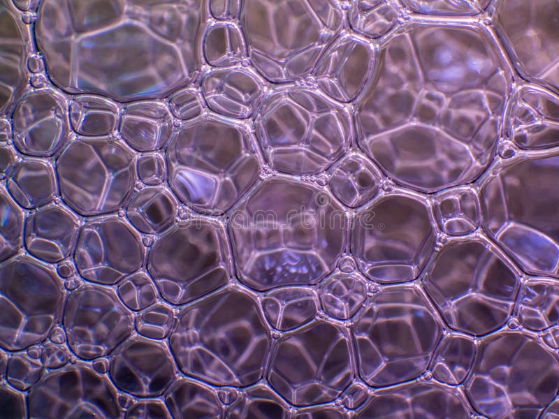 Macro Close Up of Soap Bubbles Look Like Scienctific Image of Cell and ...