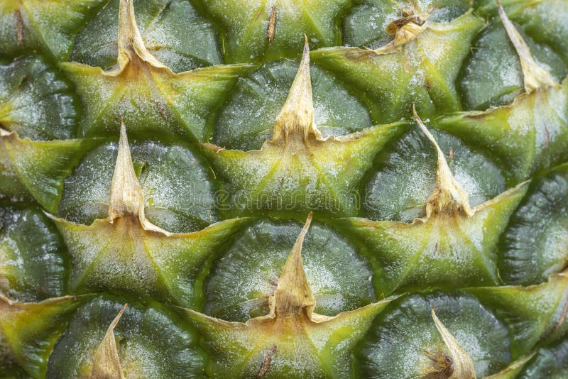 Macro Pineapple texture stock image. Image of fruit - 216551553