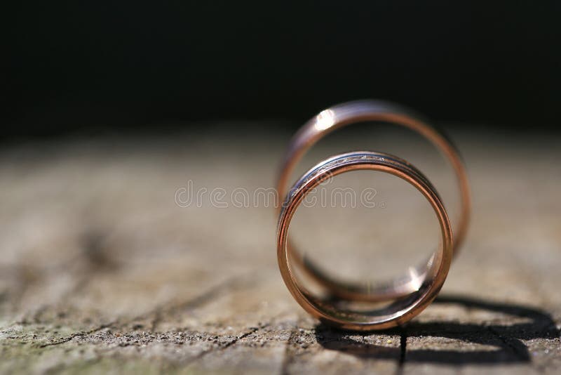 Macro Close Up of Two Wedding Rings on Wood Stock Image - Image of ...