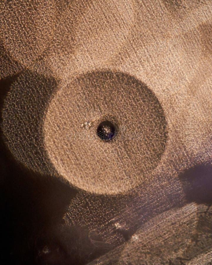 Macro Closeup Photos of Oil Drops in Water with Backlighting Stock ...