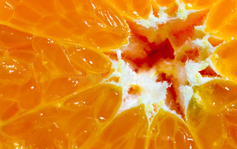 Macro Closeup of a Sliced Satsuma Orange Stock Image - Image of healthy ...
